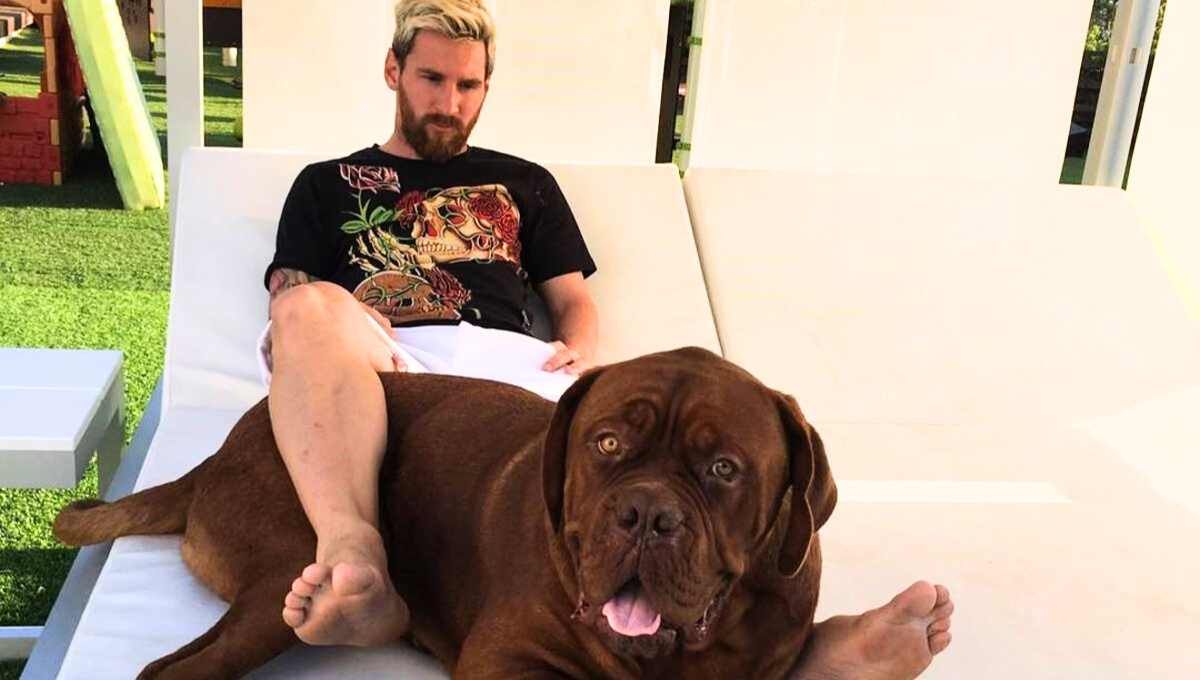 El triste destino de Hulk, el perro de Lionel Messi