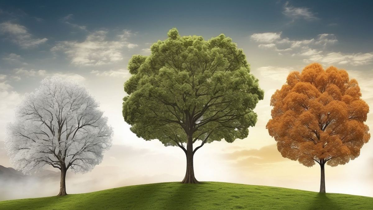 Test de personalidad: elige un árbol y descubre el rasgo por el cual se ...