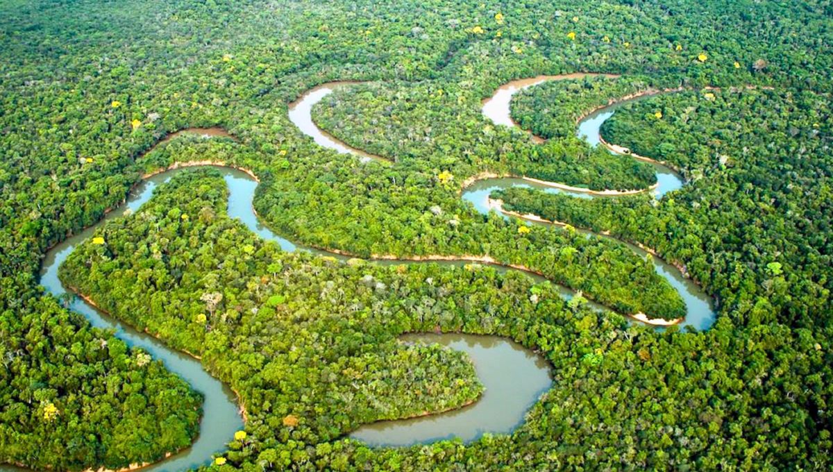 El río más largo del mundo tiene casi 6000 kilómetros de extensión y ...