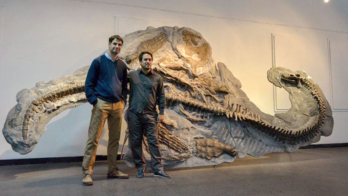El Plesiosaurio más completo fue hallado en el Hemisferio Sur