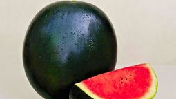 Cómo saber si una sandía está buena: señales para elegir una fruta bien ...
