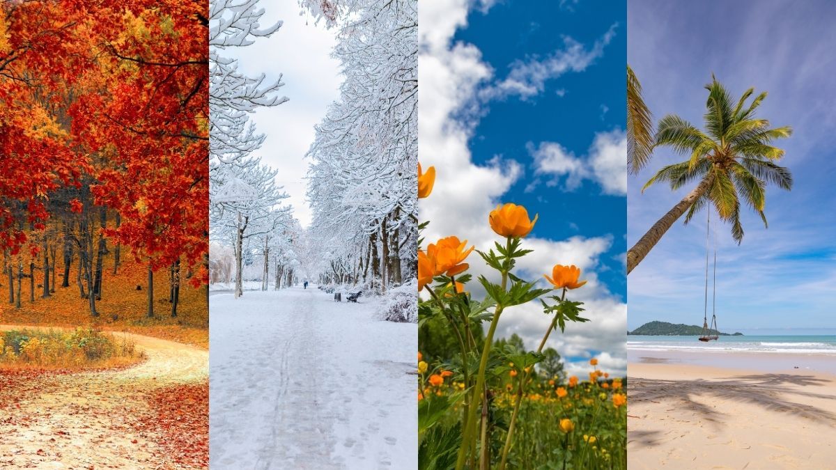 Test de personalidad: descubre cómo es tu personalidad según tu ...