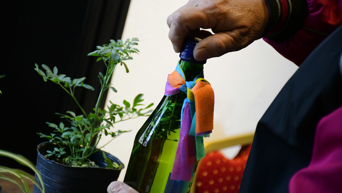 Por qué se toma caña con ruda el 1ro de agosto