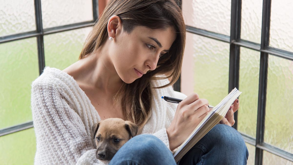 El test de los tres animales que revelará tu verdadera personalidad