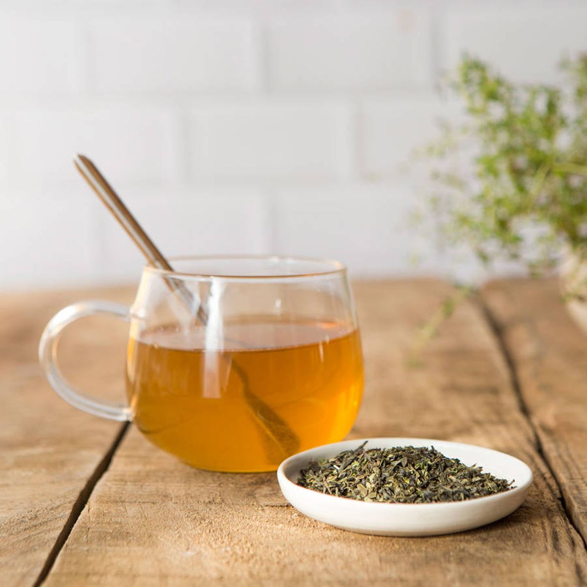 Tomillo: por qué recomiendan dejarlo reposar en agua y para qué puede ...