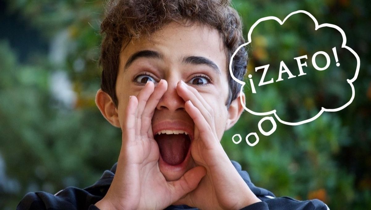 Qué significa y cuál es el origen de la palabra zafo que tanto se usa ...