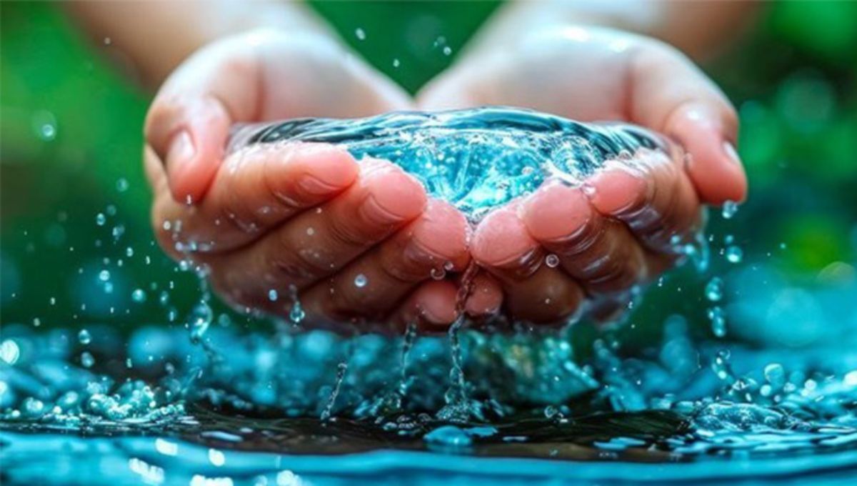 Por qué el agua no tiene color, olor ni sabor