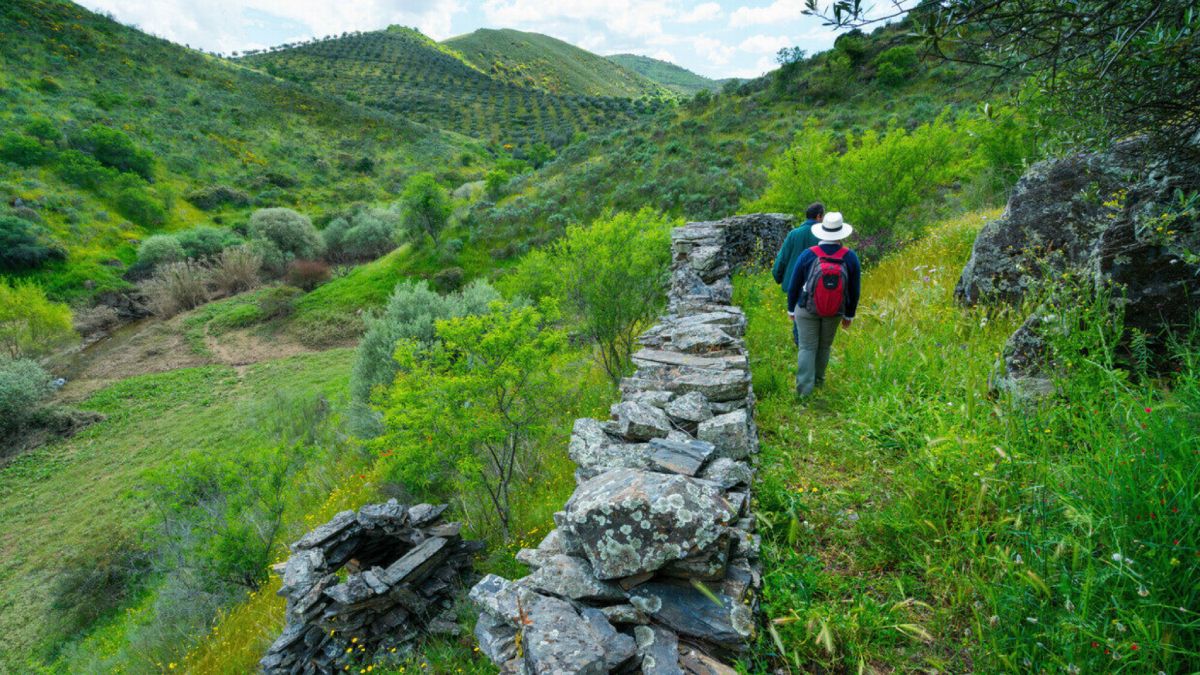 Rewilding: de qué se trata el proceso de “construir naturaleza”