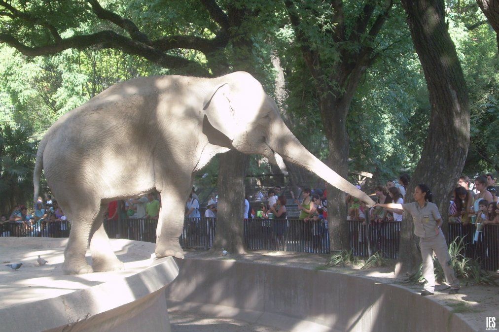 El zoológico porteño cerró sus puertas y será convertido en un ...