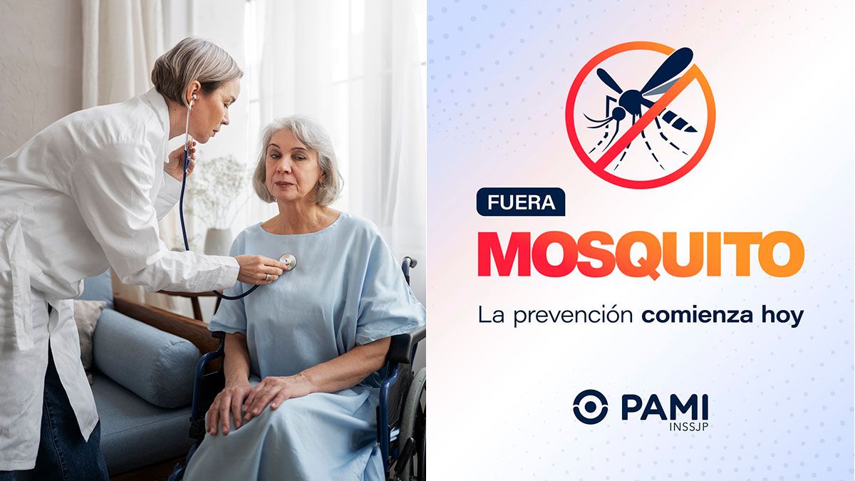 PAMI en alerta contra el dengue y la fiebre amarilla: síntomas de alarma