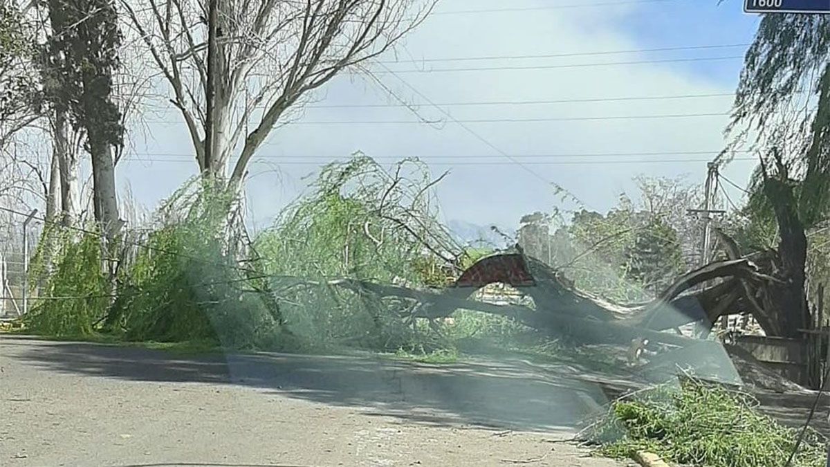 Bajó el viento Zonda al llano y se suspendieron las clases en el Gran ... Bajó el viento Zonda al llano y se suspendieron las clases en el Gran ...