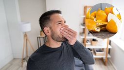 Recicla las cáscaras de naranja y crea estas hermosas ideas para ...