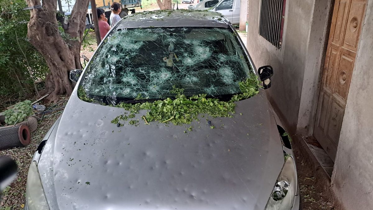 La tormenta de granizo dejó 12.000 hectáreas afectadas, heridos y ...