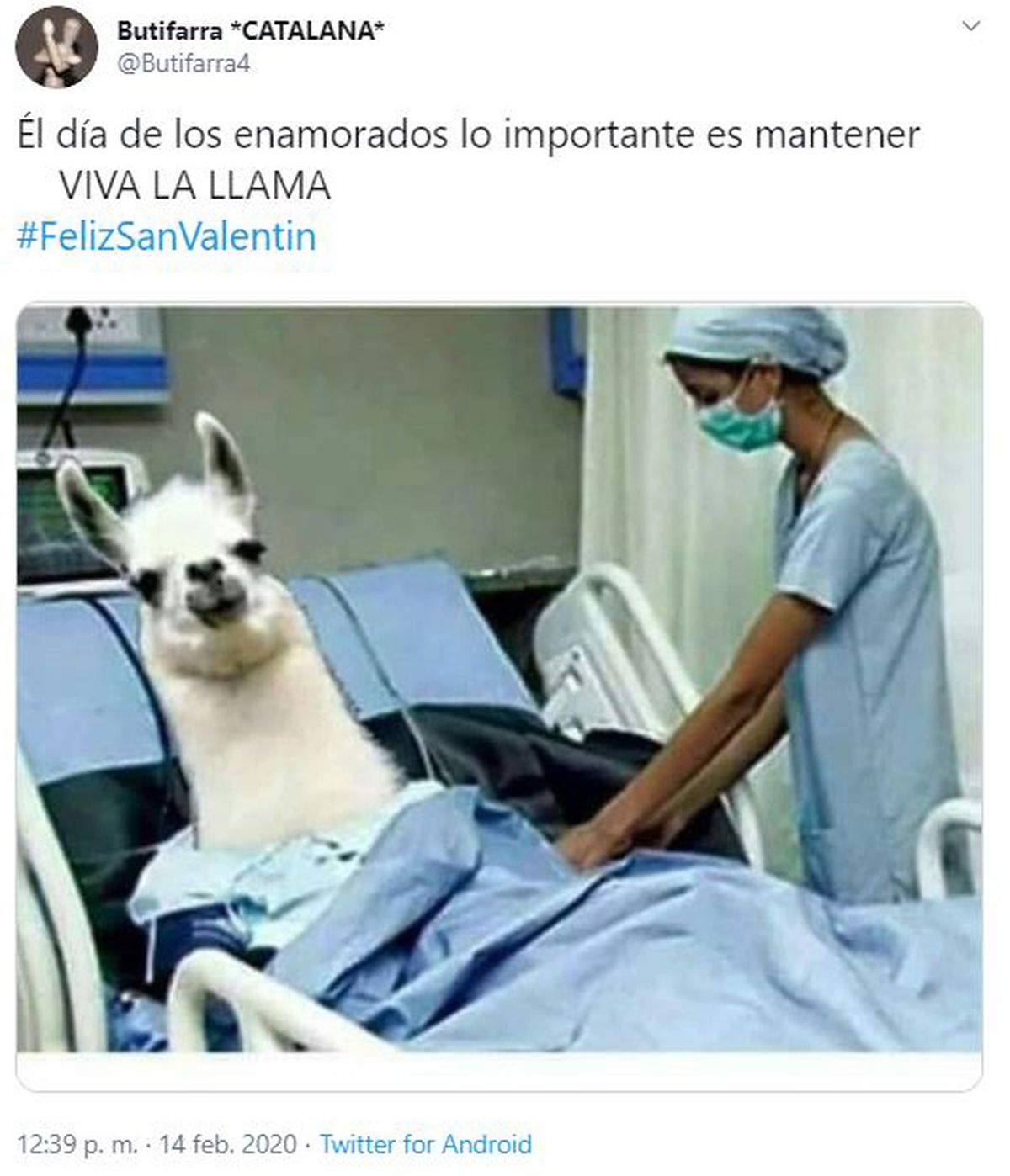 Los mejores memes por el Día de San Valentín