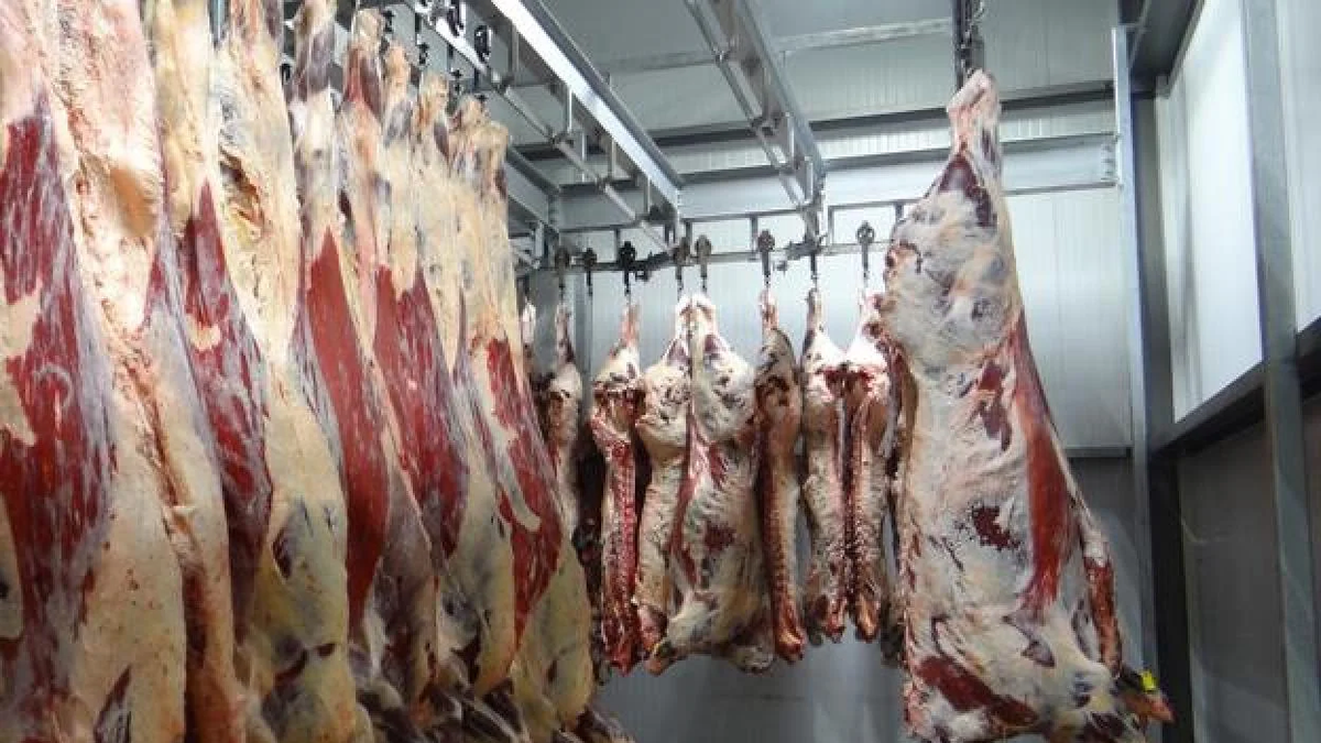 Allanaron a un matadero que ofrecía carne de caballos y mulas