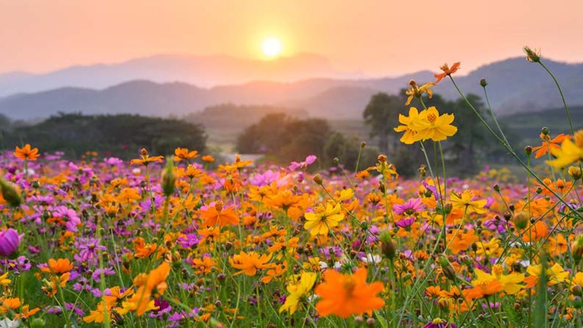 Pronóstico del SMN: cómo será el clima en primavera 2025 en cada región ...