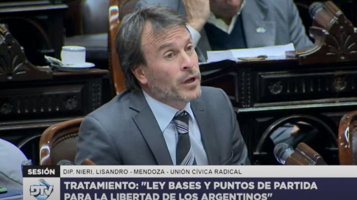 Nieri ratificó su apoyo a la Ley Bases pero criticó el capítulo laboral ...