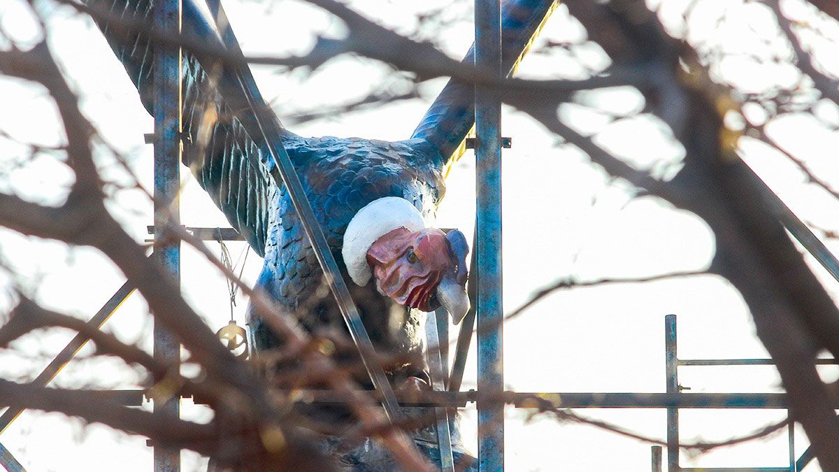 Alerta spoiler: así es la nueva apariencia del Cóndor del Acceso tras ...