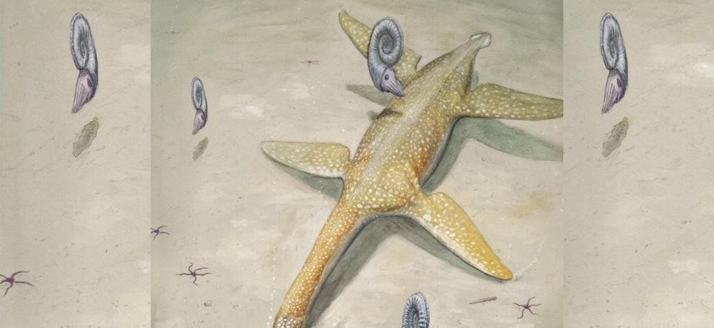Descubrieron una nueva especie de monstruo marino del Jurásico