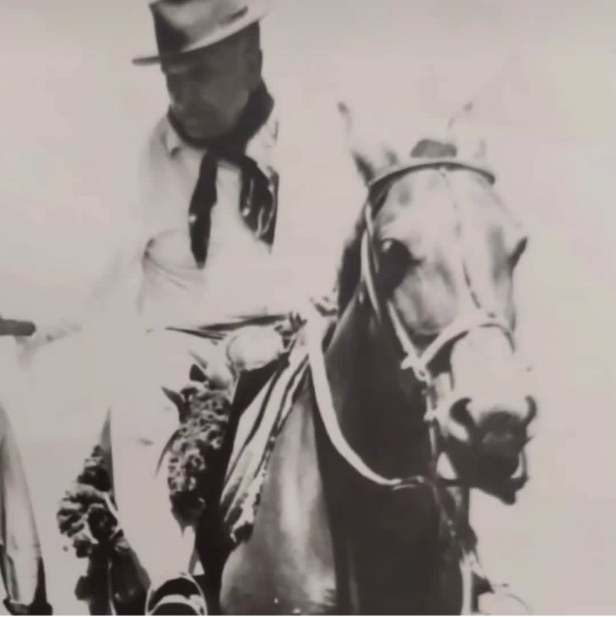 Mauricio Benegas, del amor por los caballos al primer desarrollo ...