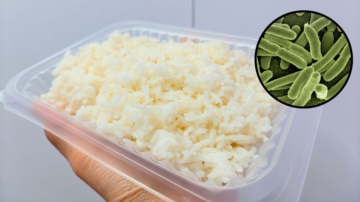 El arroz en la heladera o a temperatura ambiente se puede volver tóxico ...