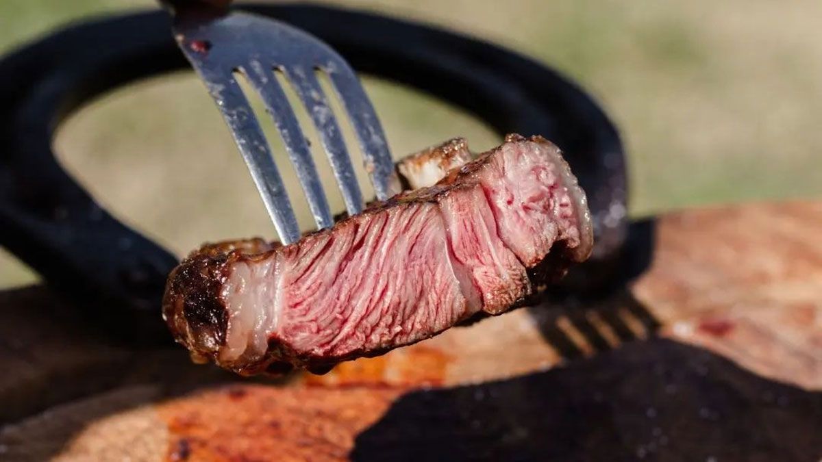 Toma aire al conocer los 5 pasos que son claves para hacer un buen asado