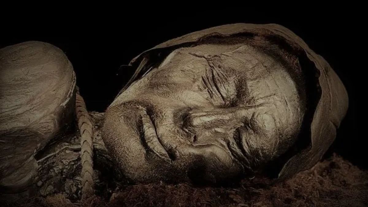 Restos de humanos reescriben la evolución humana: son hobbits de un ...