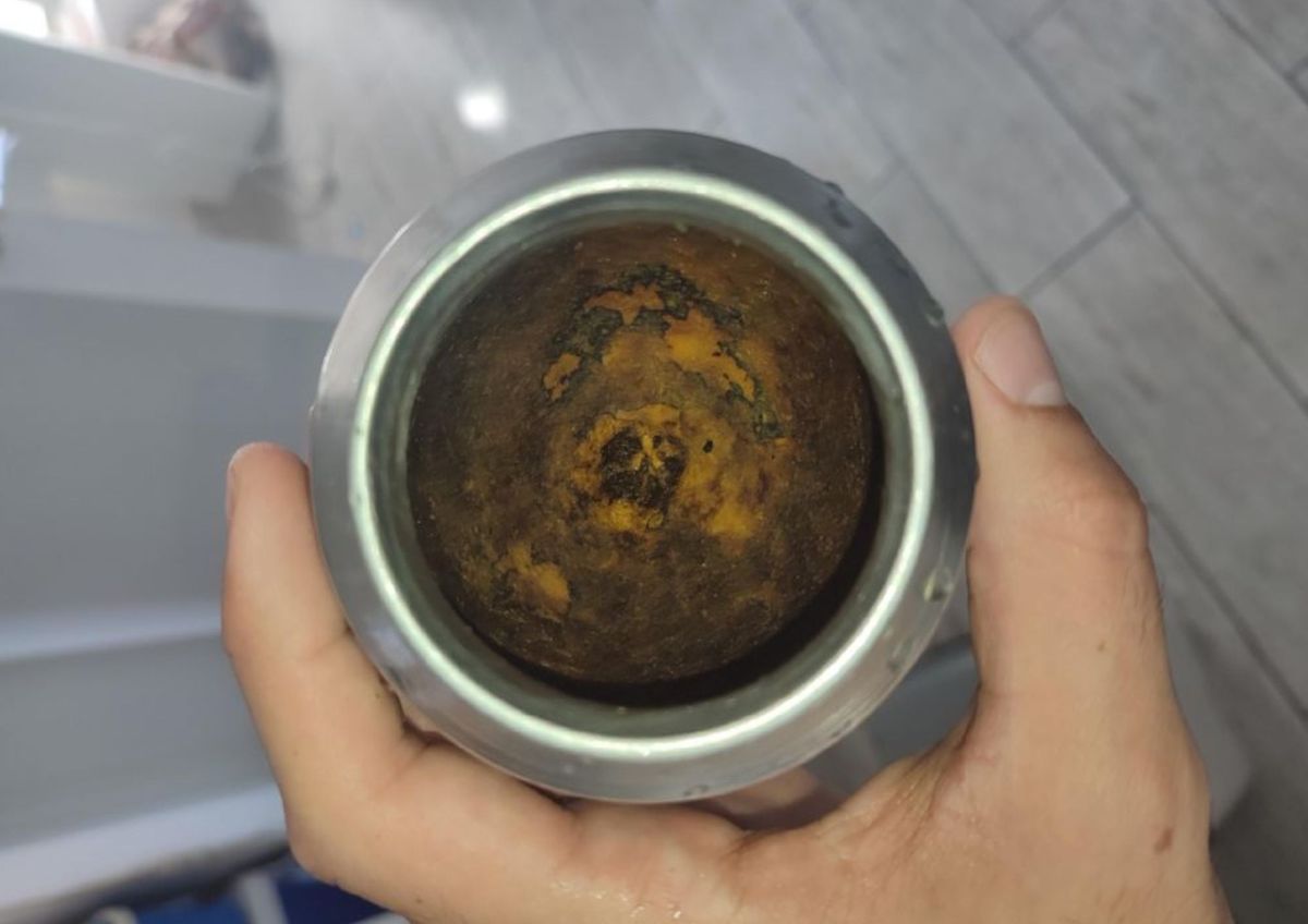 Truco casero: cómo eliminar los hongos y prevenir la humedad en un mate ...