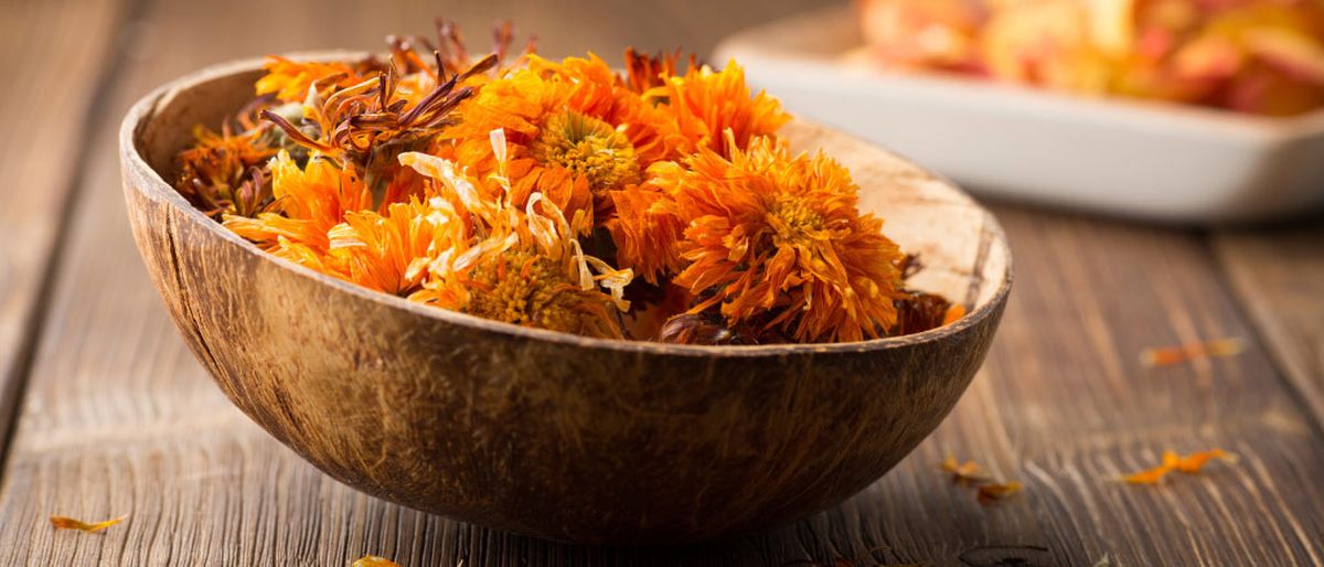 La famosa planta que te ayudará a tratar la conjuntivitis