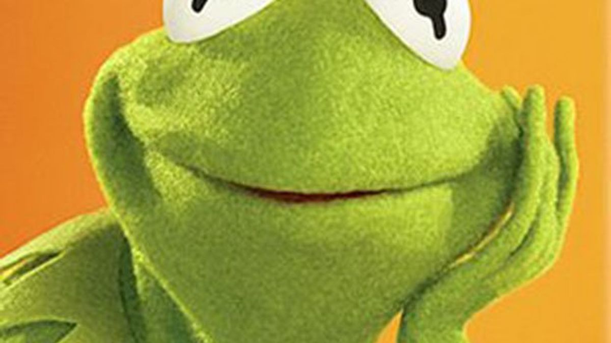 Científicos descubren en Costa Rica a la verdadera rana René