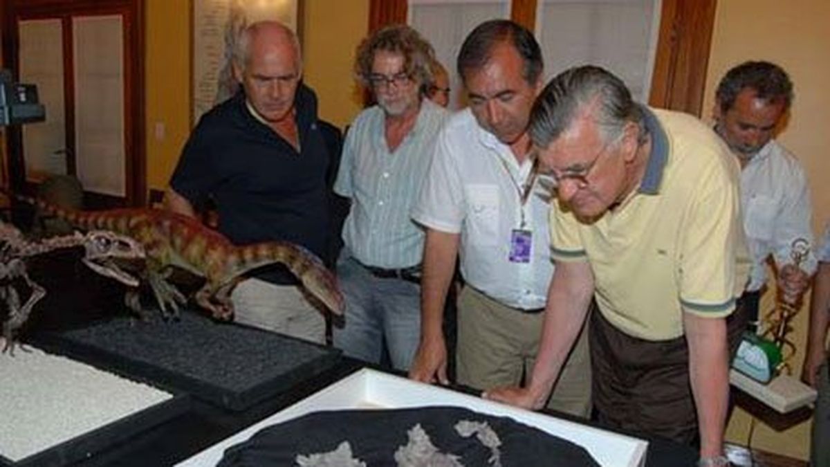 Encontraron en San Juan al precursor de las aves más antiguo del planeta