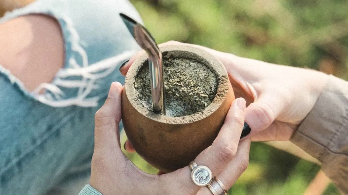Truco casero: cómo eliminar el moho y los hongos del mate en cuestión ...