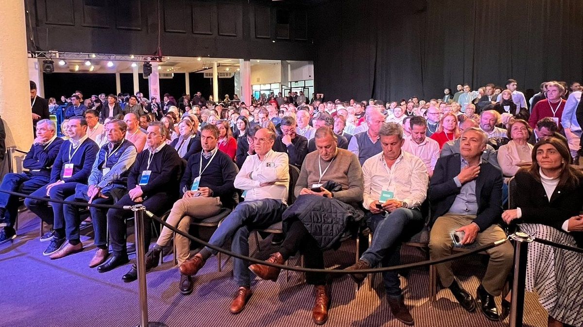 La Convención de la UCR aprobó el protocolo de género impulsado por el ...