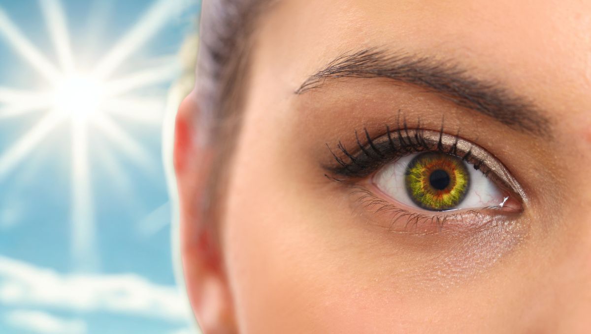 Muchos lo ignoran pero este es el ser vivo con más ojos y tiene miles