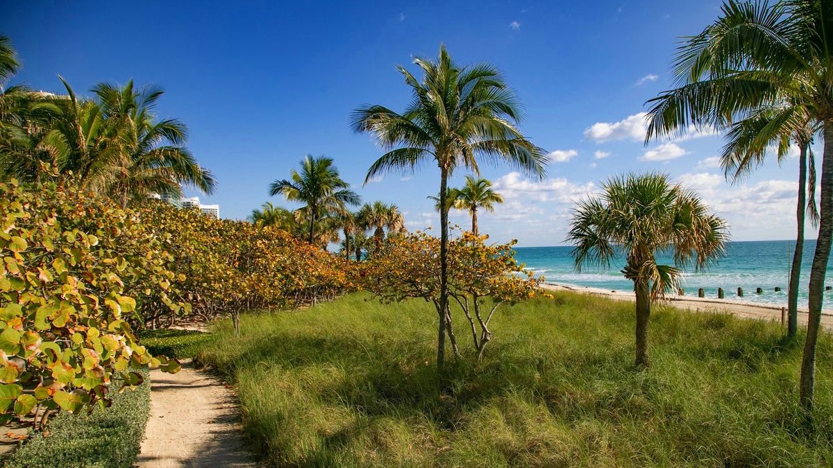La PLAYA SECRETA de MIAMI en la que los LOCALES pasan el INVIERNO