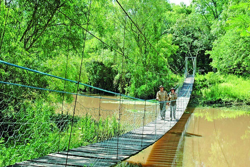 Secretos de la naturaleza en el Parque Nacional Chaco