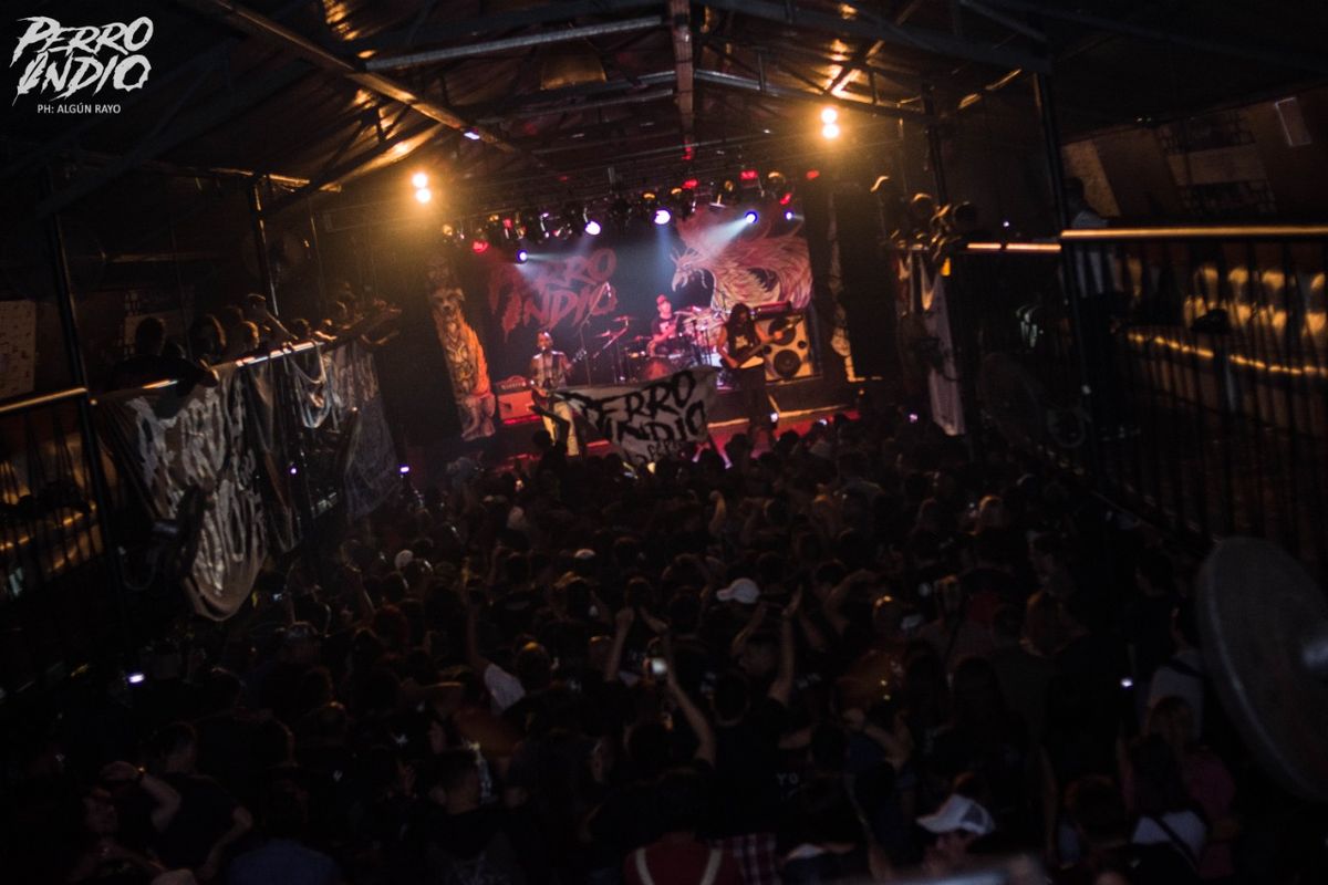 Perro Indio, el poderoso rock que sorprende por su energía