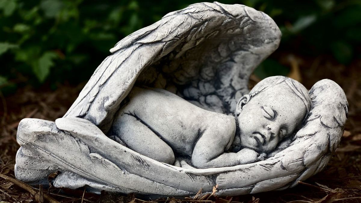 Científicos explicaron de qué se trata el fenómeno del bebé de piedra ...