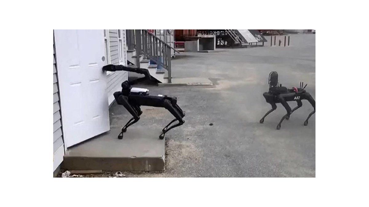 Perros robot, la nueva arma que prueba la Policía de Massachusetts