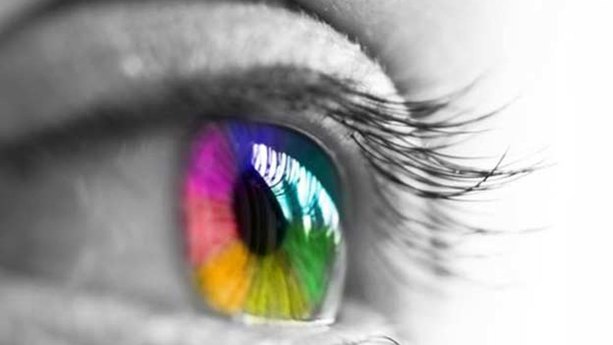 ¿Cuántos colores ves en la imagen?