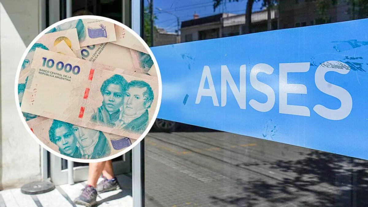 ANSES: los beneficiarios de este bono extraordinario cobrarán en julio ...