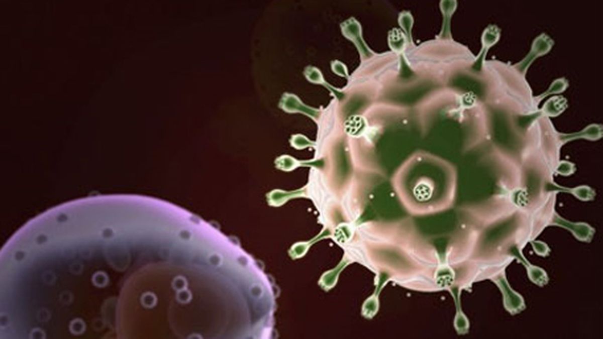 Así se esconde el Sida en el cuerpo