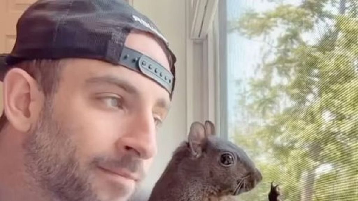 Por qué sacrificaron a la ardilla que era una súper estrella de las redes sociales en Estados Unidos