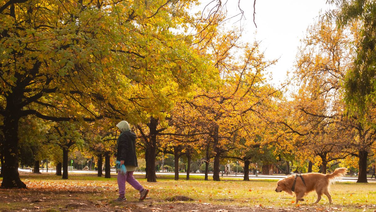 Pronóstico del tiempo: vuelven los días de otoño después del intenso ...