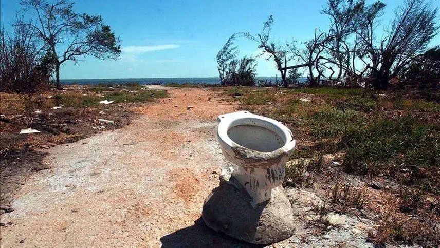 Día Mundial del Inodoro: te sorprenderá saber cuántas personas defecan ...