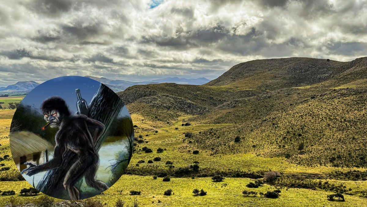 El hombre oso: la leyenda que aterrorizó por cientos de años al norte ...