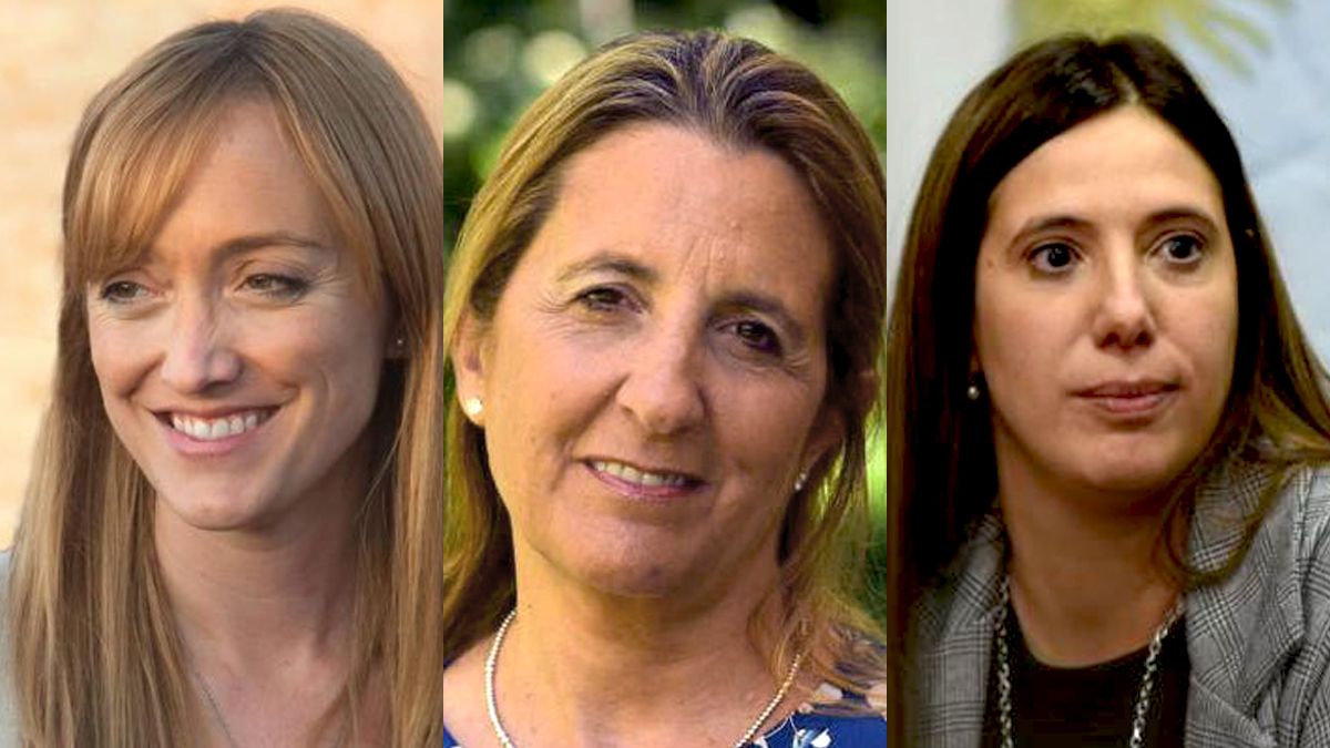 Nueva grieta: por la Lobesia Botrana se cruzaron tres legisladoras ...