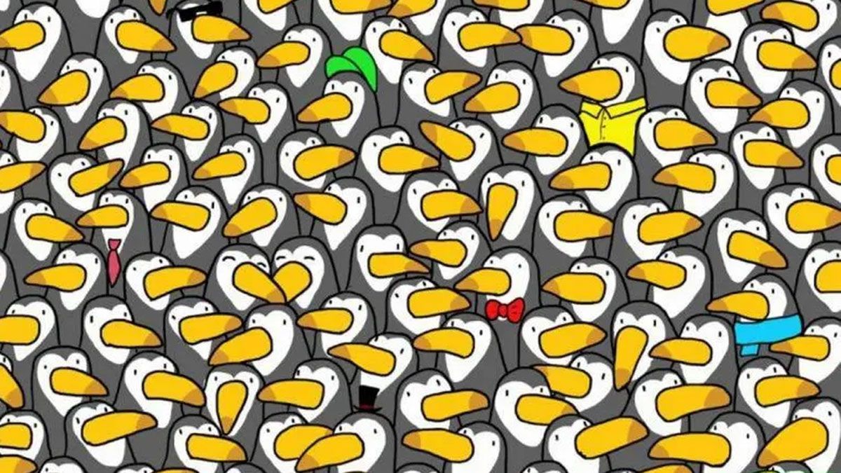 Nadie más que un GENIO puede encontrar el PINGÜINO OCULTO en este ...