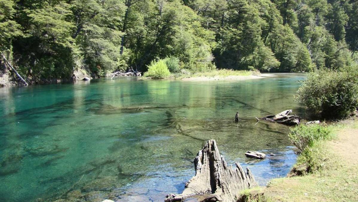 Turismo en la Patagonia: cuáles son las siete maravillas que ofrece Neuquén