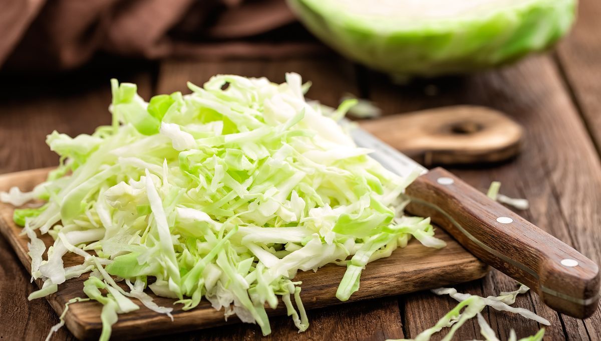 En qué se diferencia la lechuga y el repollo